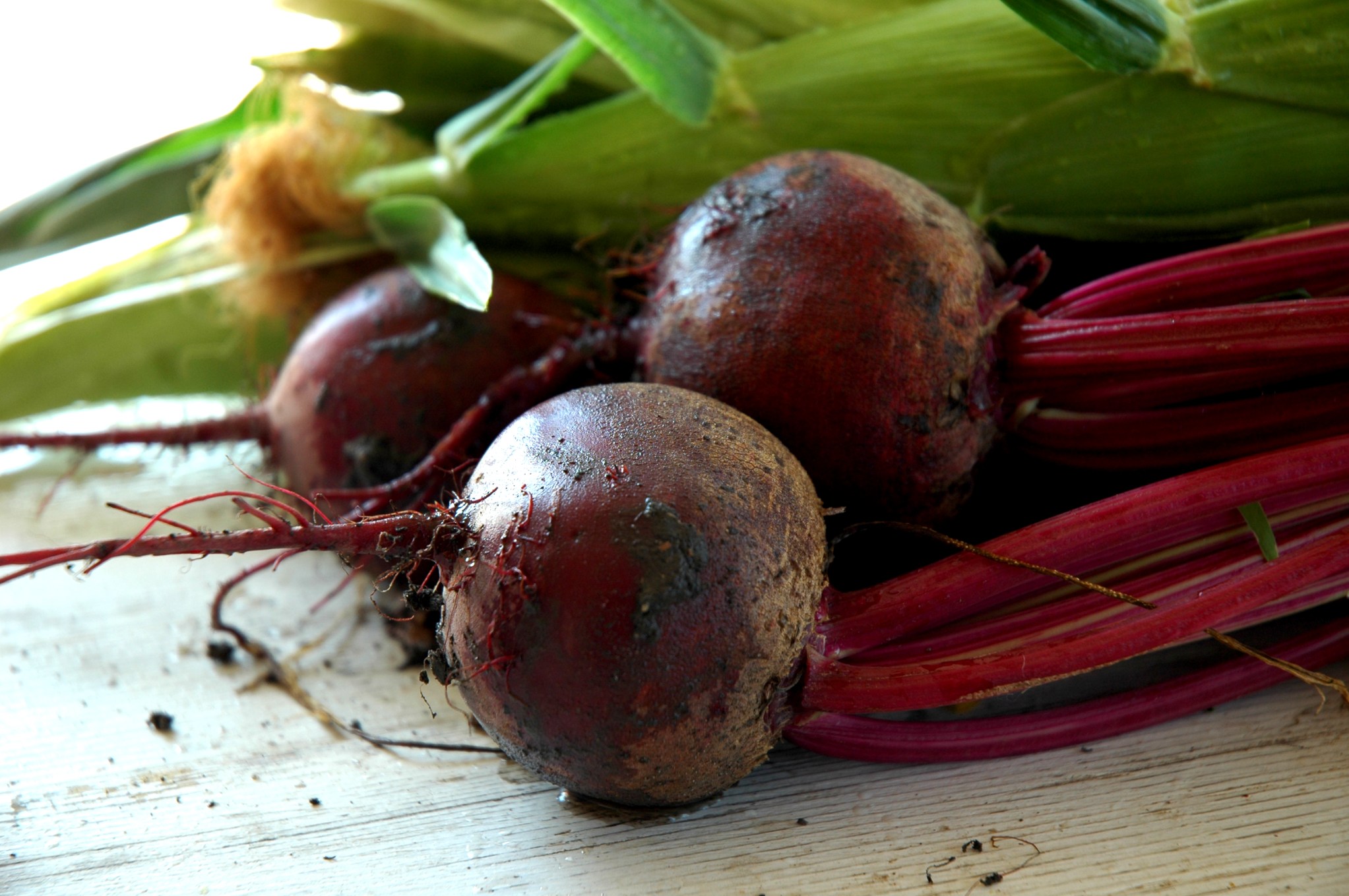 Puss and Gumboots – The Kitchen's Garden