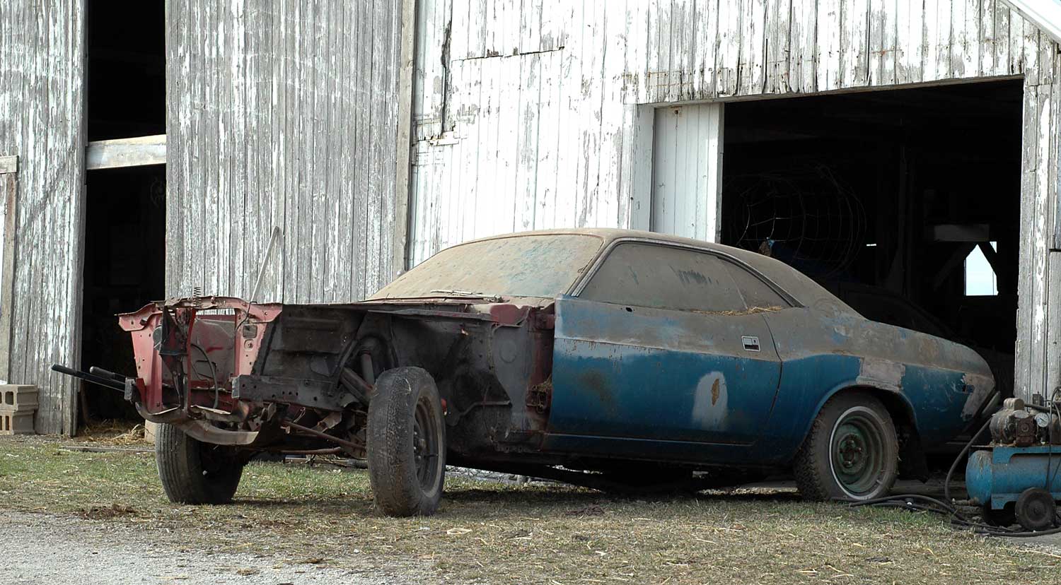 Hairy MacLairy gets a Pedicure – The Kitchen's Garden