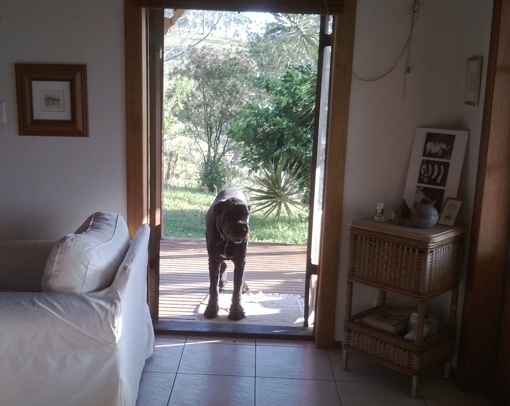 sally-house – The Kitchen's Garden