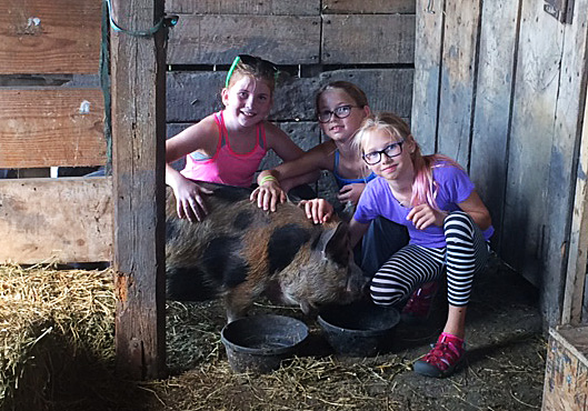 Three Girls and a Pig – The Kitchen's Garden