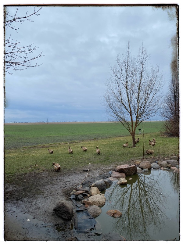 Did I tell you? Why I Hate March! – The Kitchen's Garden
