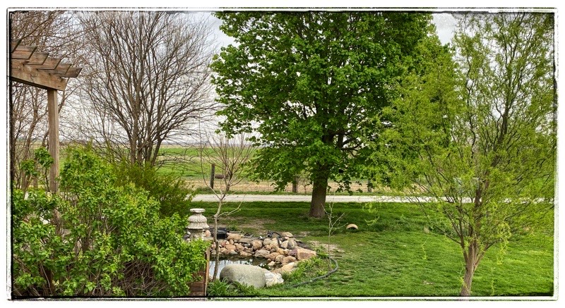 What is Your First Childhood Memory? – The Kitchen's Garden