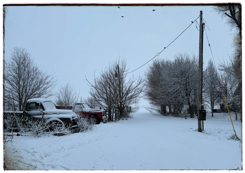 Look! What snow feels like before it falls – The Kitchen's Garden
