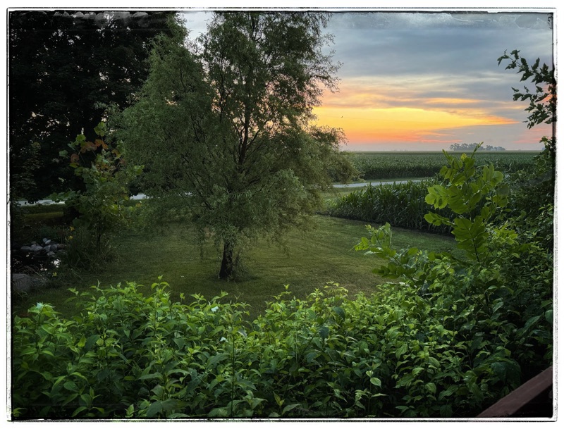 Line after Line of Storms – The Kitchen's Garden